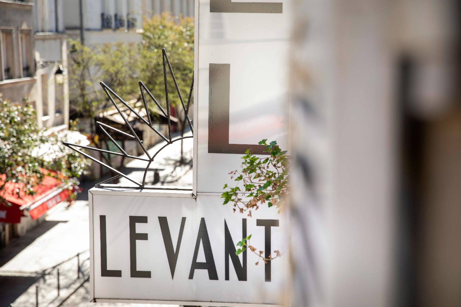 Galerie photos - Hôtel du Levant (75005)